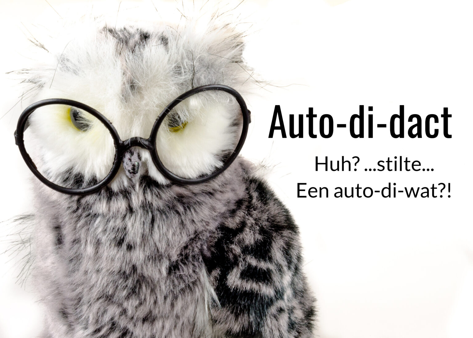 Autodidact - CleverCoaching